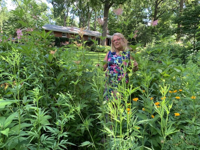 Outdoor Illinois Journal: A Gardener’s Journey Toward Using More Native ...