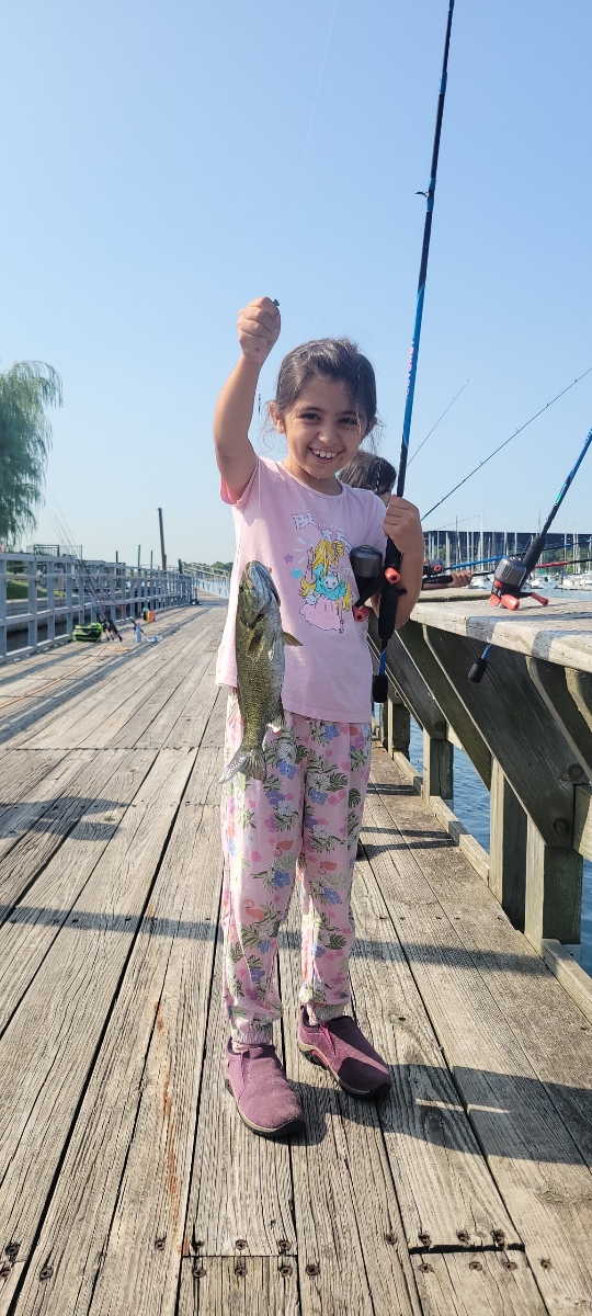 Outdoor Illinois Journal: A Voice for Anglers