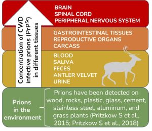 Outdoor Illinois Journal: Legend or Reality: Breaking the code of CWD myths