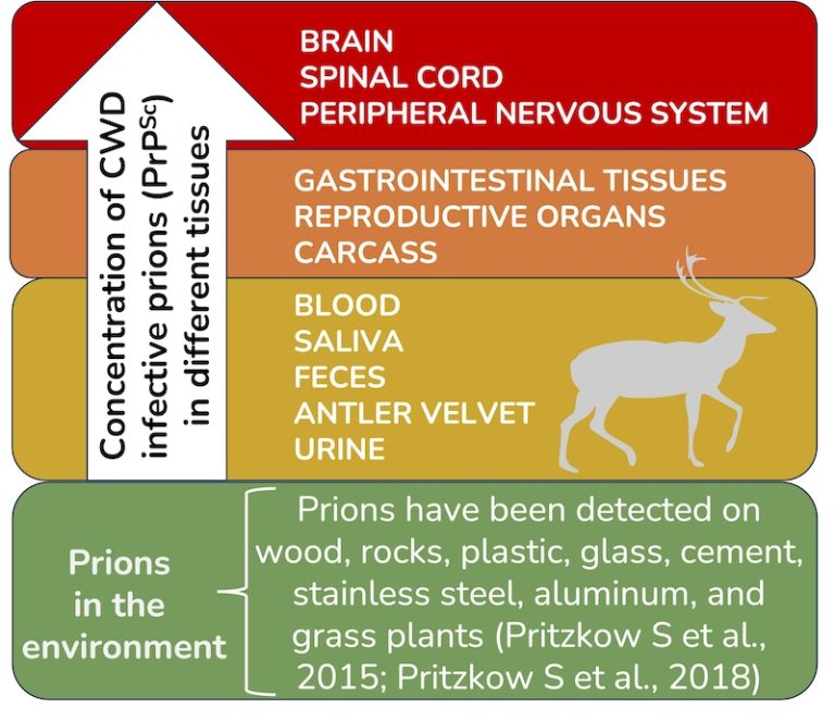 Outdoor Illinois Journal: Legend or Reality: Breaking the code of CWD myths