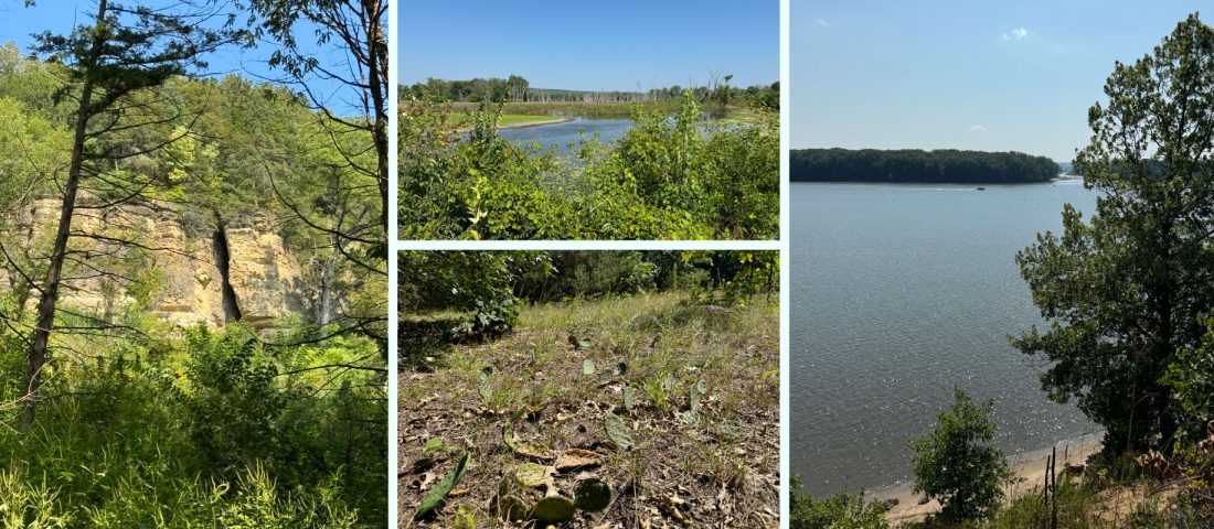 Outdoor Illinois Journal: Illinois’ River-based Natural Division: Upper ...