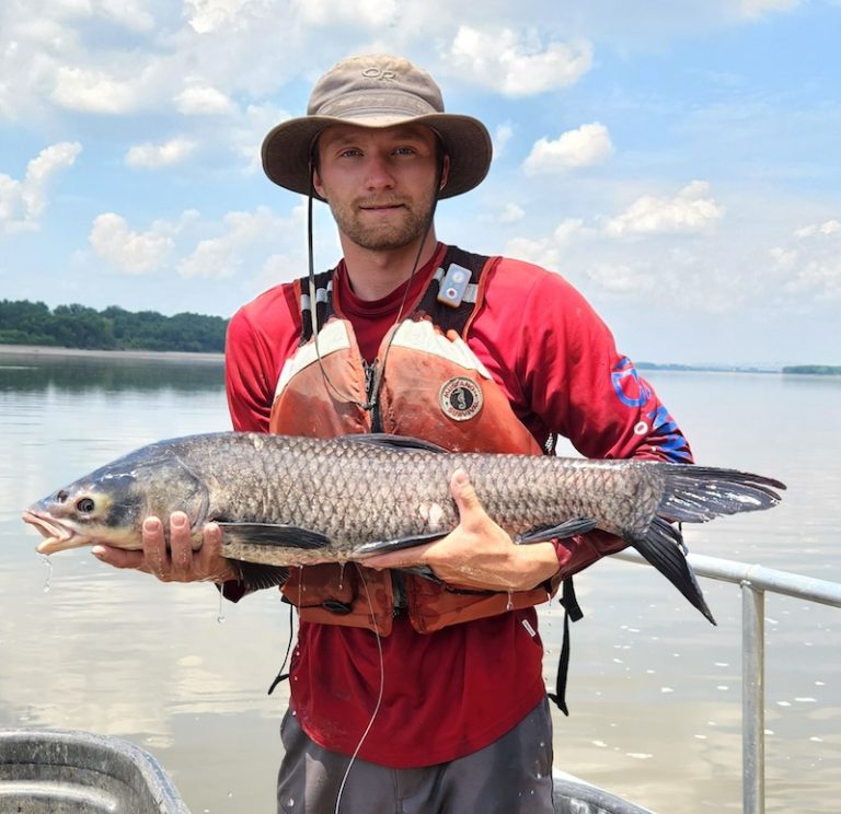 Outdoor Illinois Journal: Black Carp in Illinois: An invasive threat to ...