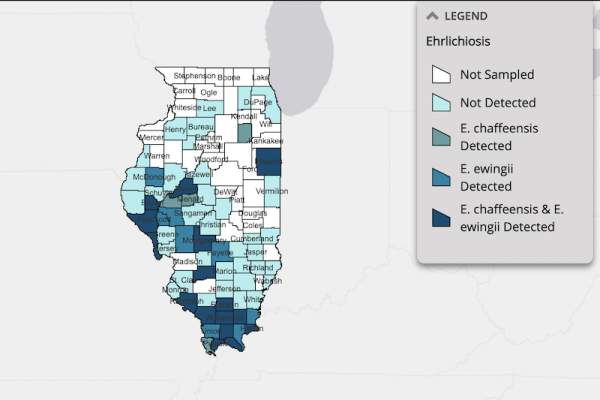 Outdoor Illinois Journal: Ticks in Illinois: The rising risk of ...
