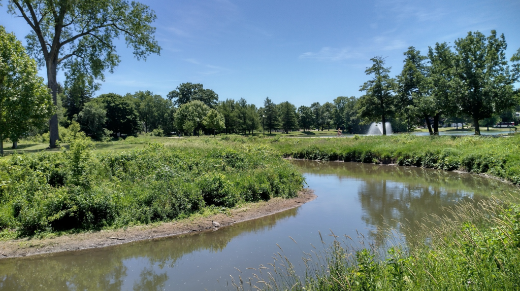 Outdoor Illinois Journal: Smooth Softshell Turtles: A Focal Species of ...
